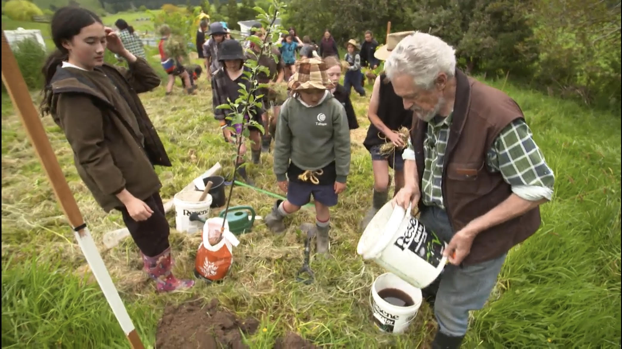 School orchard for Taoroa School | Pat Kelly Enviroschools Action Fund ...